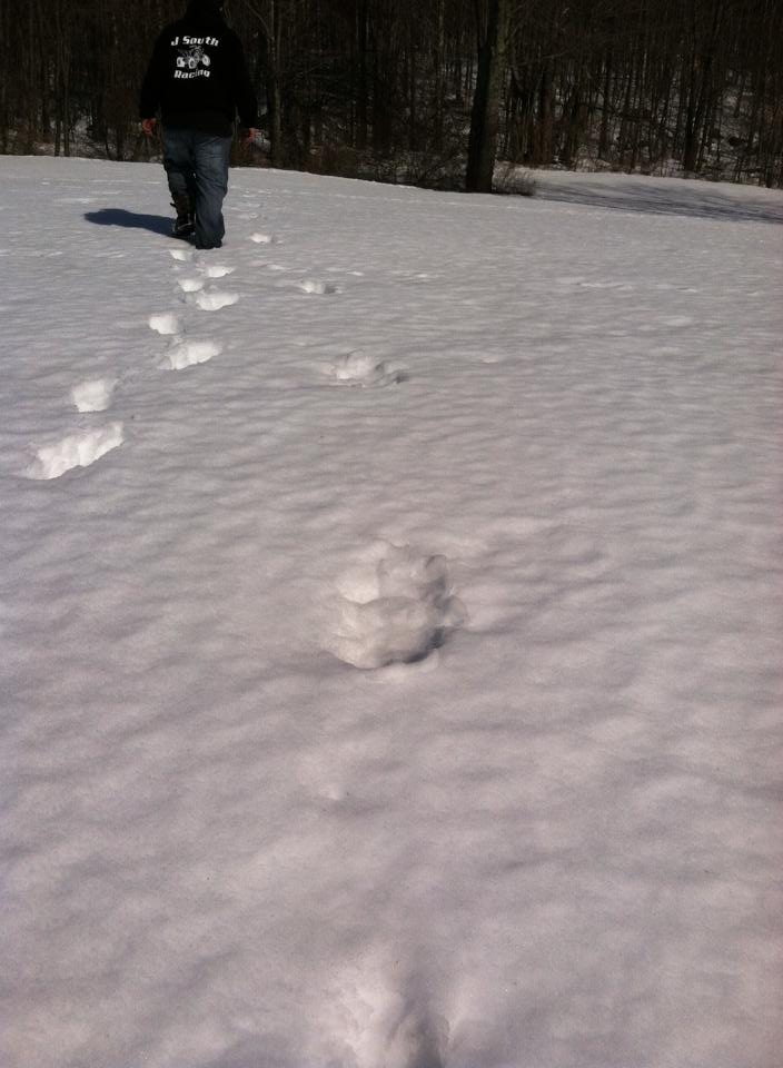 Bigfoot/Sasquatch Snow Tracks in Catskill Mountains of New York