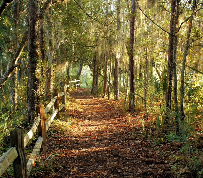 South Carolina Expedition